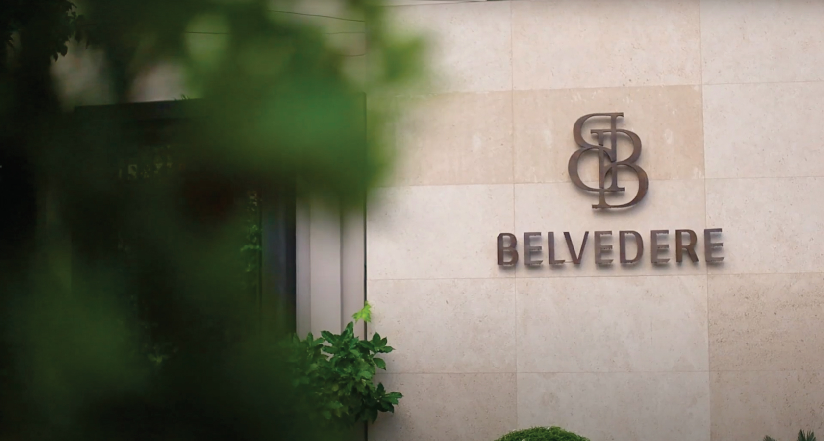 Belvedere – WYNN ESTATE